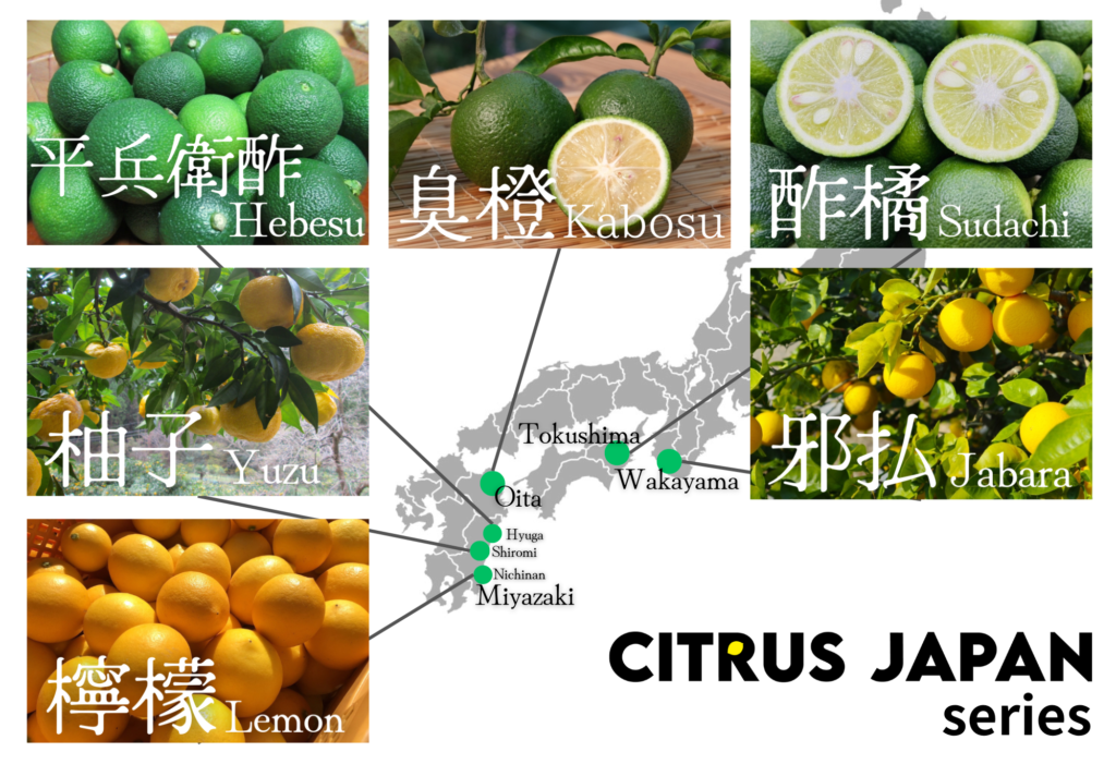 CITRUS JAPAN | Refresh the World