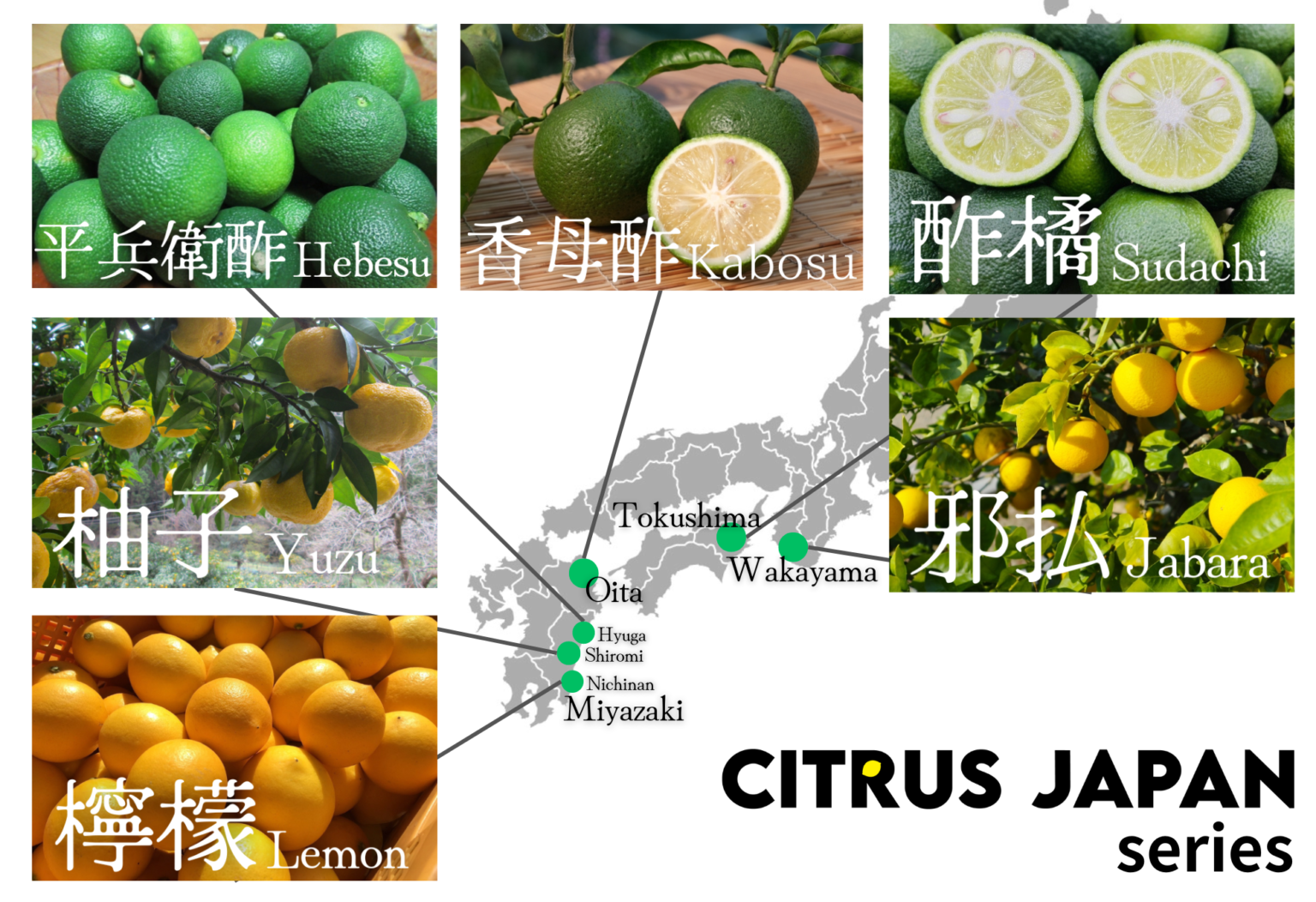 CITRUS JAPAN | Refresh the World